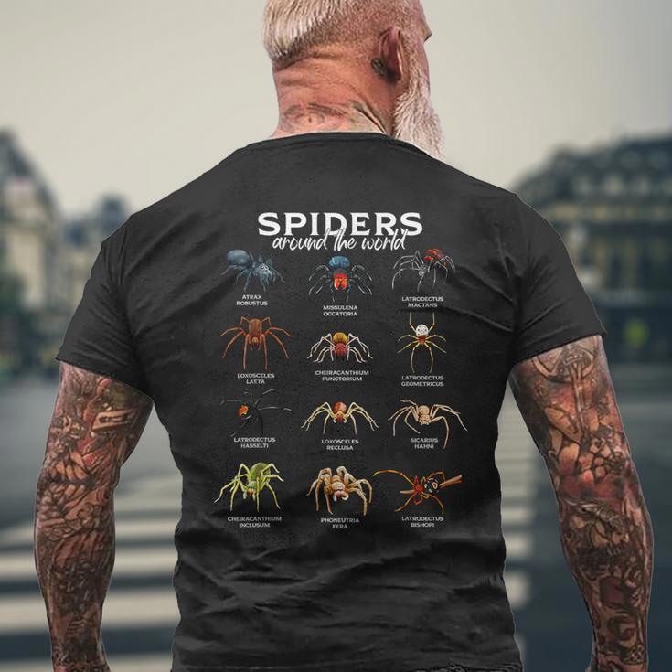 Spiders In The World Spider Species Men's Back Print T-Shirt | Mazezy